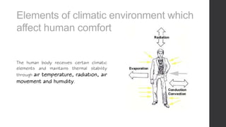 Lecture 3 bioclimatic comfort | PDF