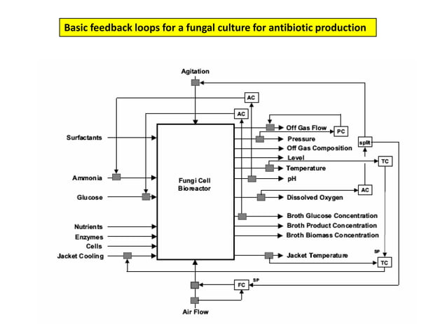 Lecture 3 bioprocess control | PPTX | Physics | Science