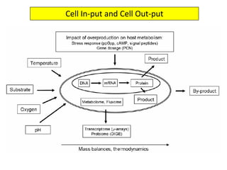Lecture 3 bioprocess control | PPTX