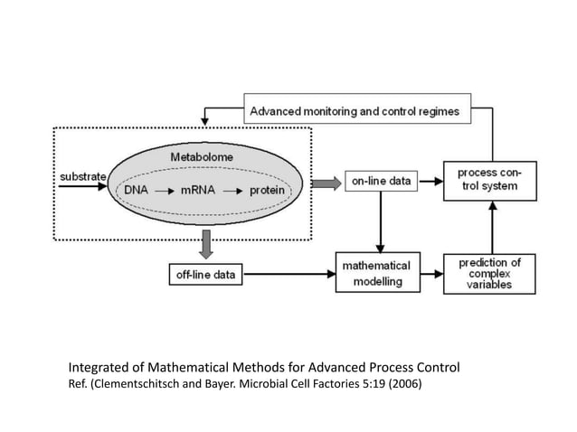 Lecture 3 bioprocess control | PPTX | Physics | Science