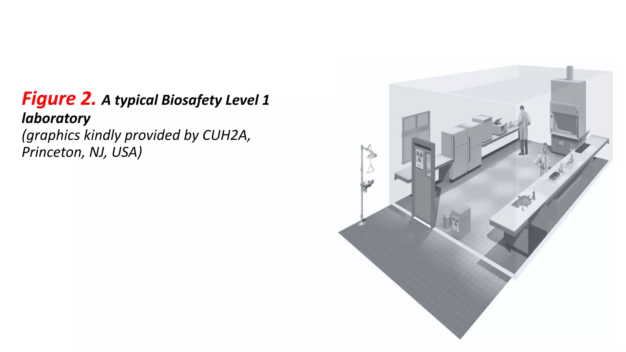 Lecture 3 - Biosafety Levels 1 & 2.pptx