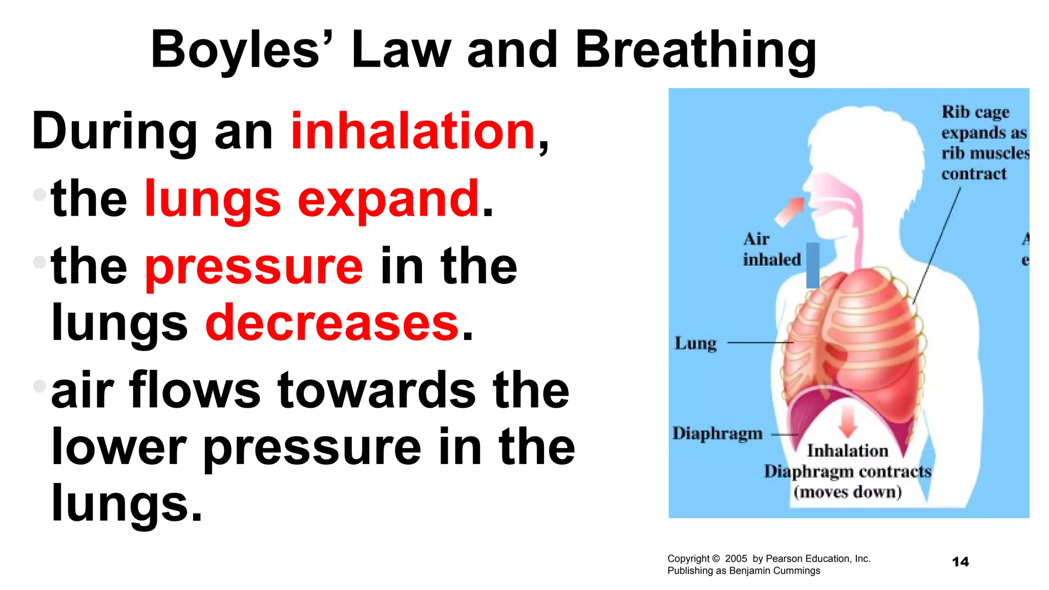 Lecture 3 Boyle's law | PPT