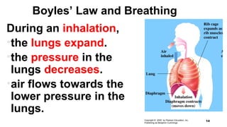 Lecture 3 Boyle's law | PPT
