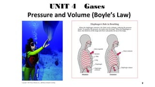 Lecture 3 Boyle's law | PPT