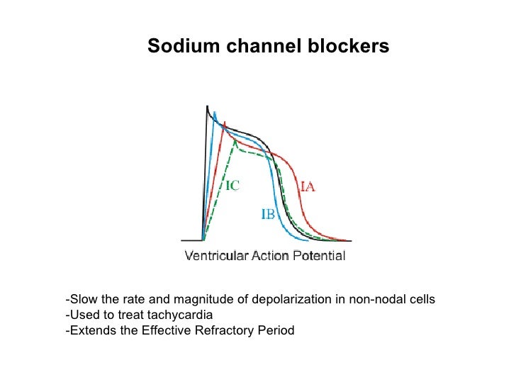 Lecture 3 cardiac electrophysiology part i