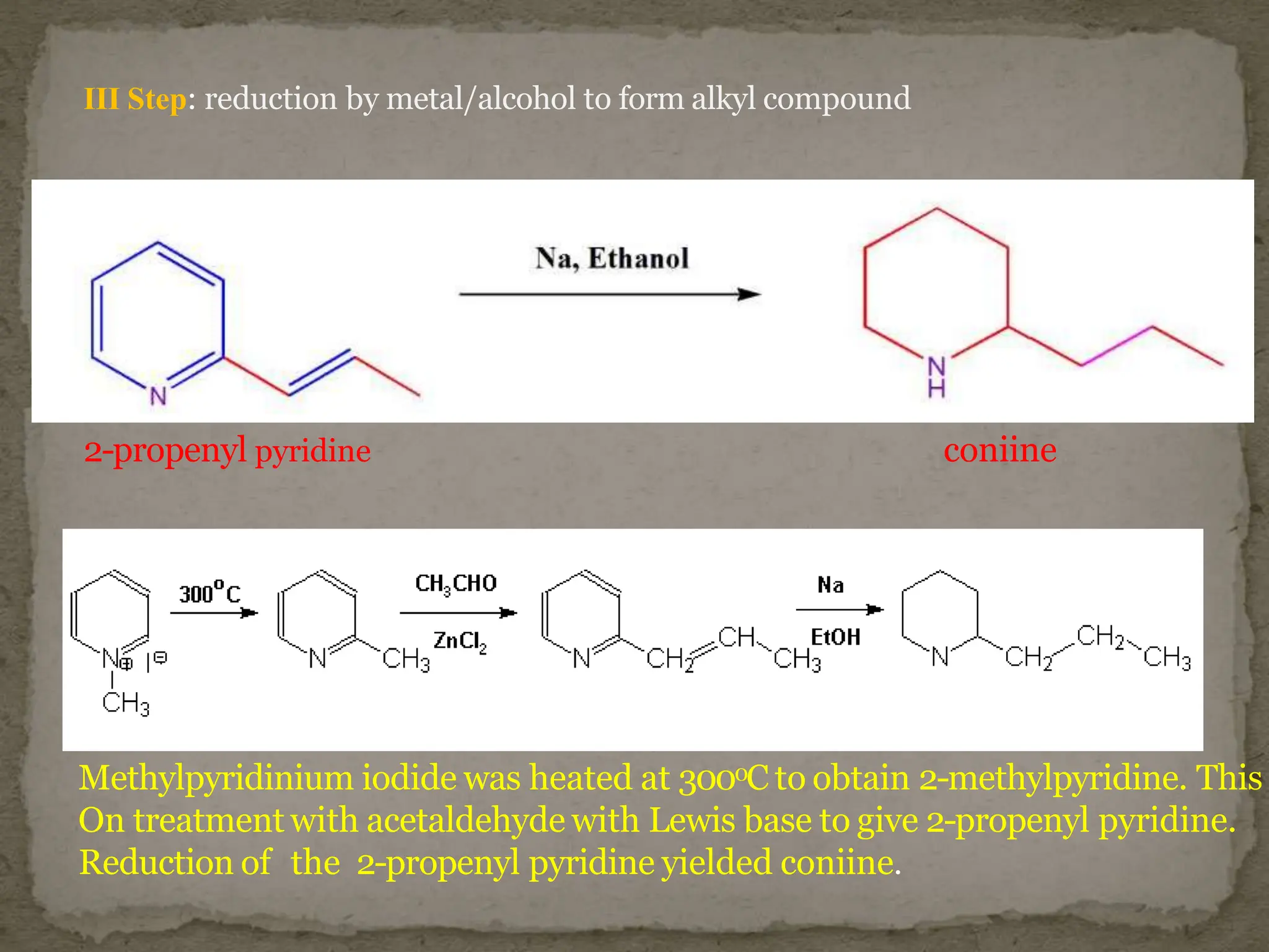 lecture#3-coniine.pptx