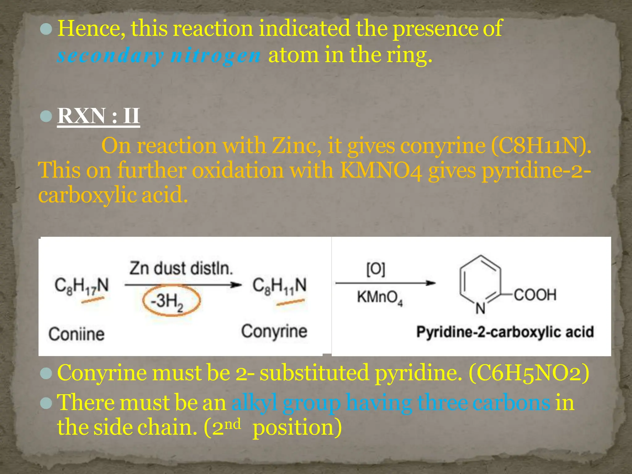 lecture#3-coniine.pptx