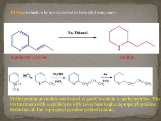 lecture#3-coniine.pptx