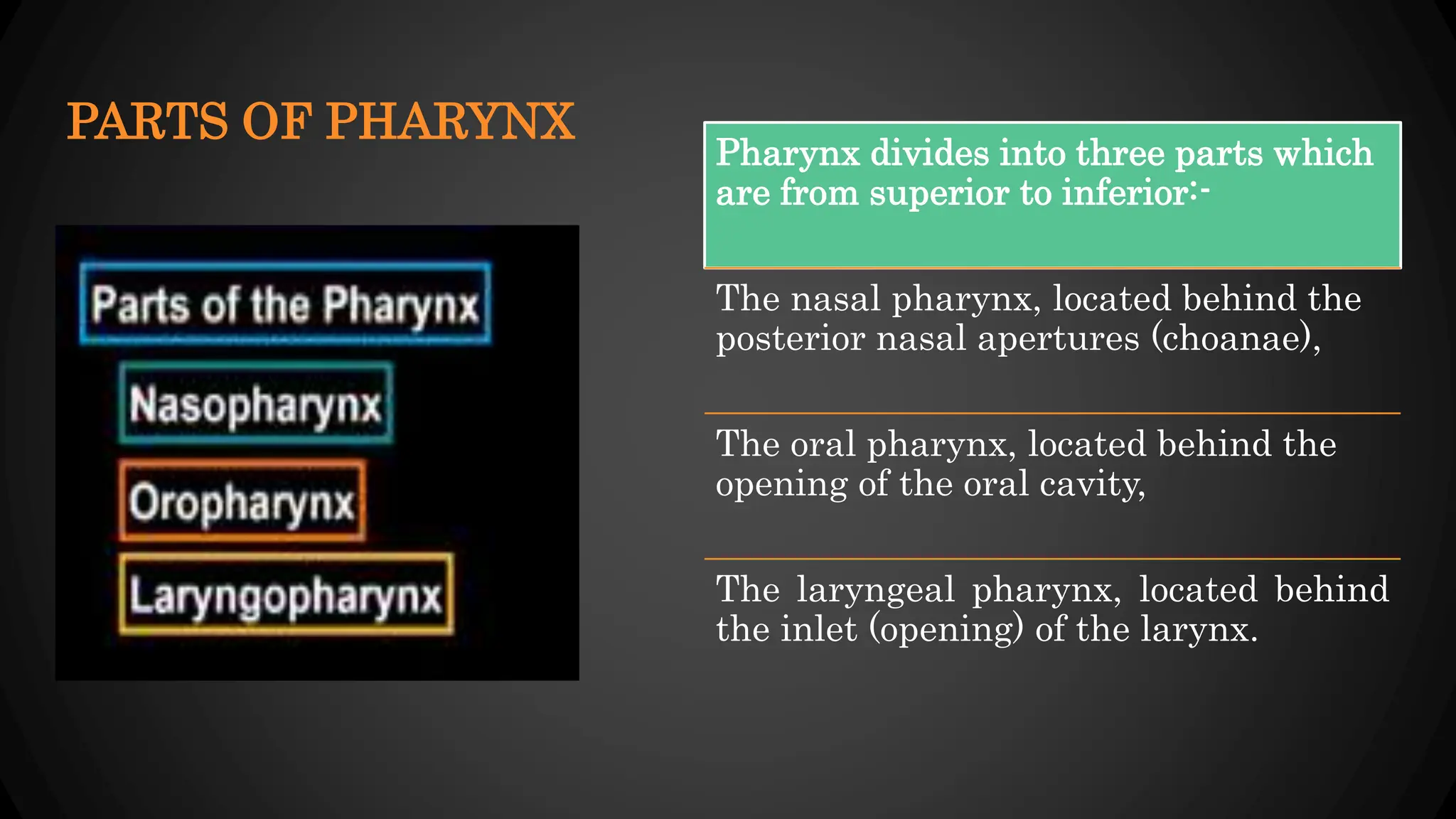 Lecture 3-Digestive System PHARYNX Oesphagus.pptx