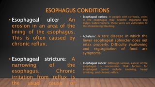 Lecture 3-Digestive System PHARYNX Oesphagus.pptx