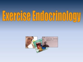 Lecture 3 exercise endocrinology | PPTX