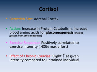 Lecture 3 exercise endocrinology | PPTX