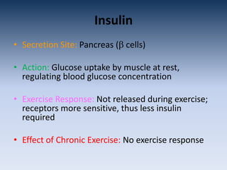Lecture 3 exercise endocrinology | PPTX