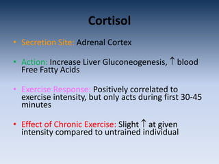 Lecture 3 exercise endocrinology | PPTX