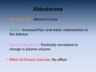 Lecture 3 exercise endocrinology | PPTX