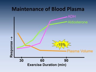 Lecture 3 exercise endocrinology | PPTX