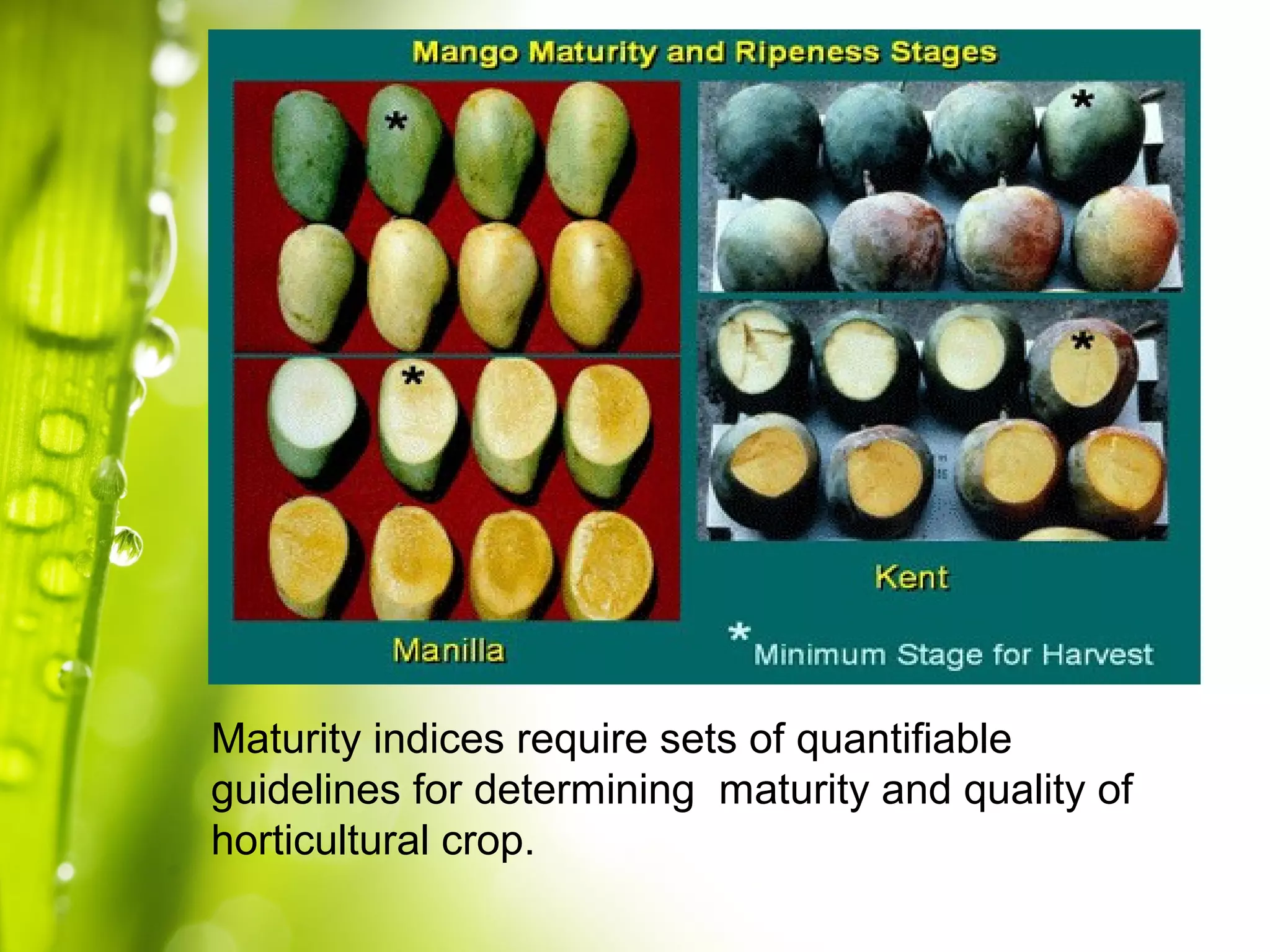 Lecture 3: Fruits and Vegetables Harvesting | PPT