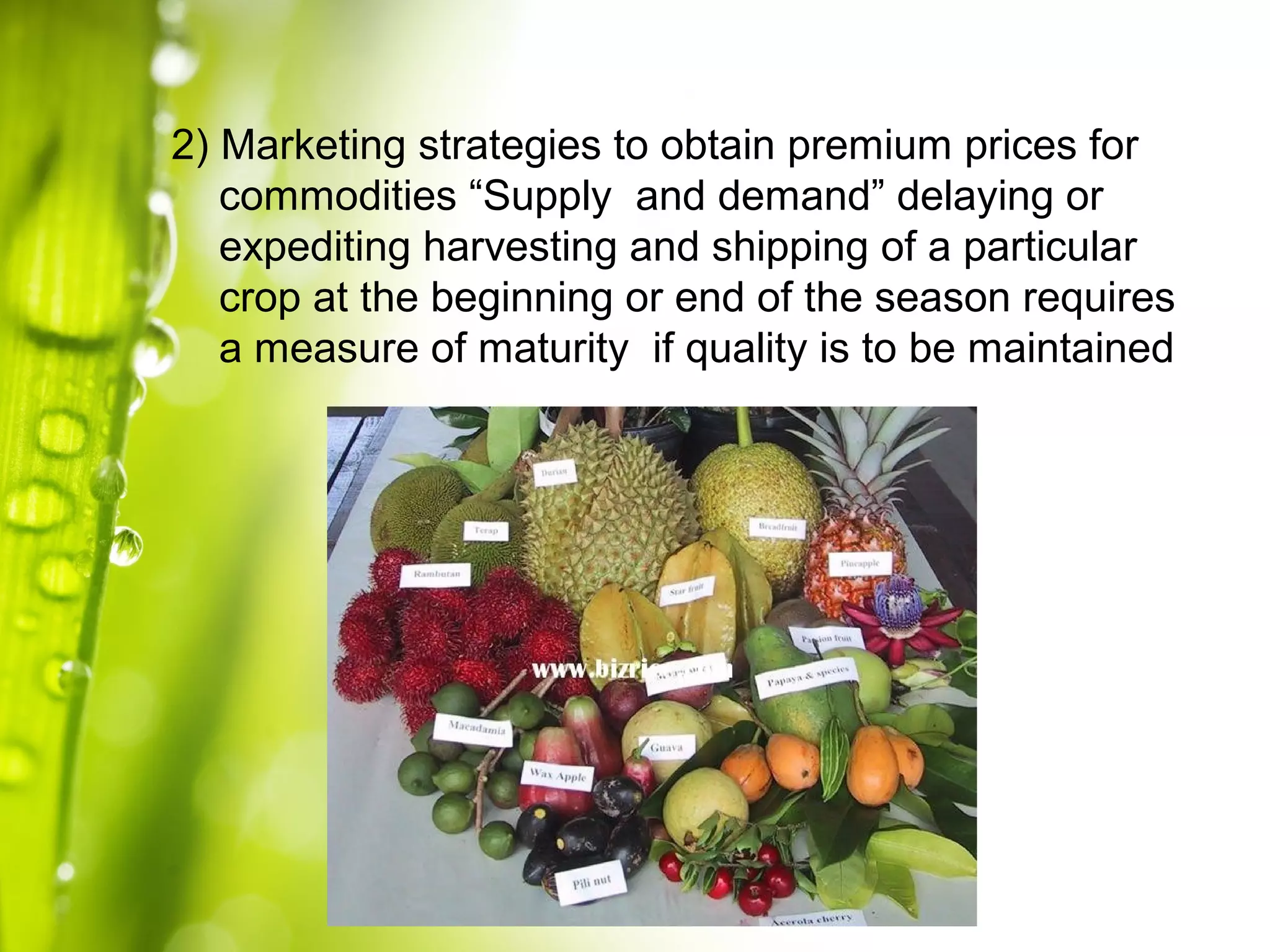 Lecture 3: Fruits and Vegetables Harvesting | PPT