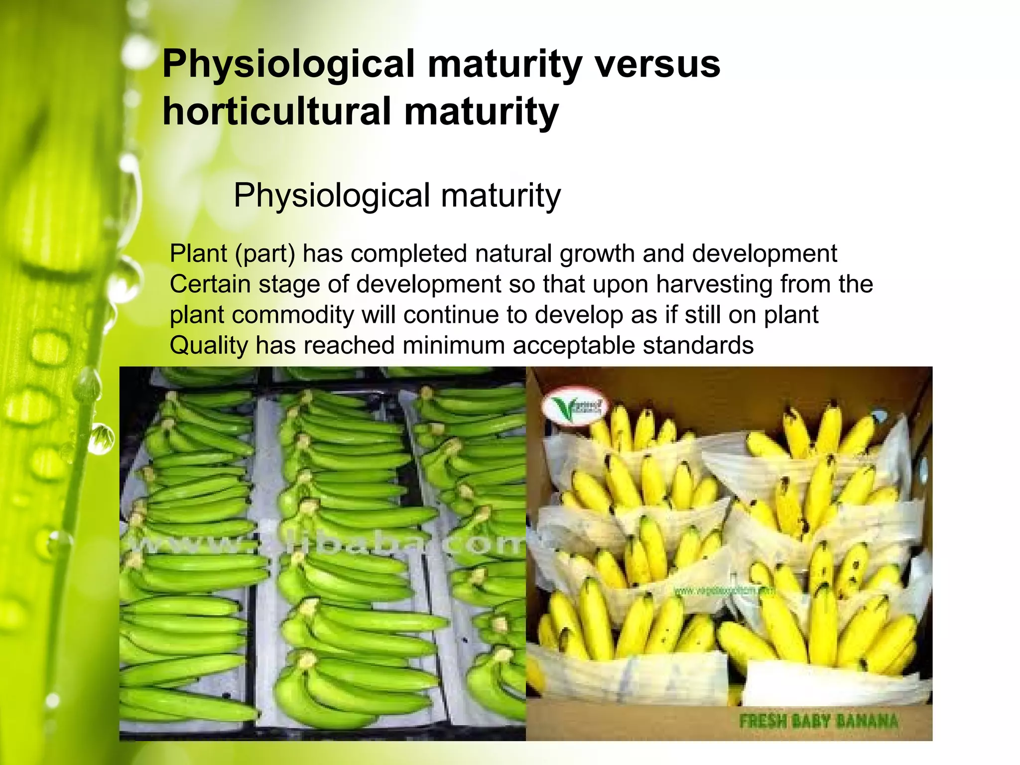 Lecture 3: Fruits and Vegetables Harvesting | PPT