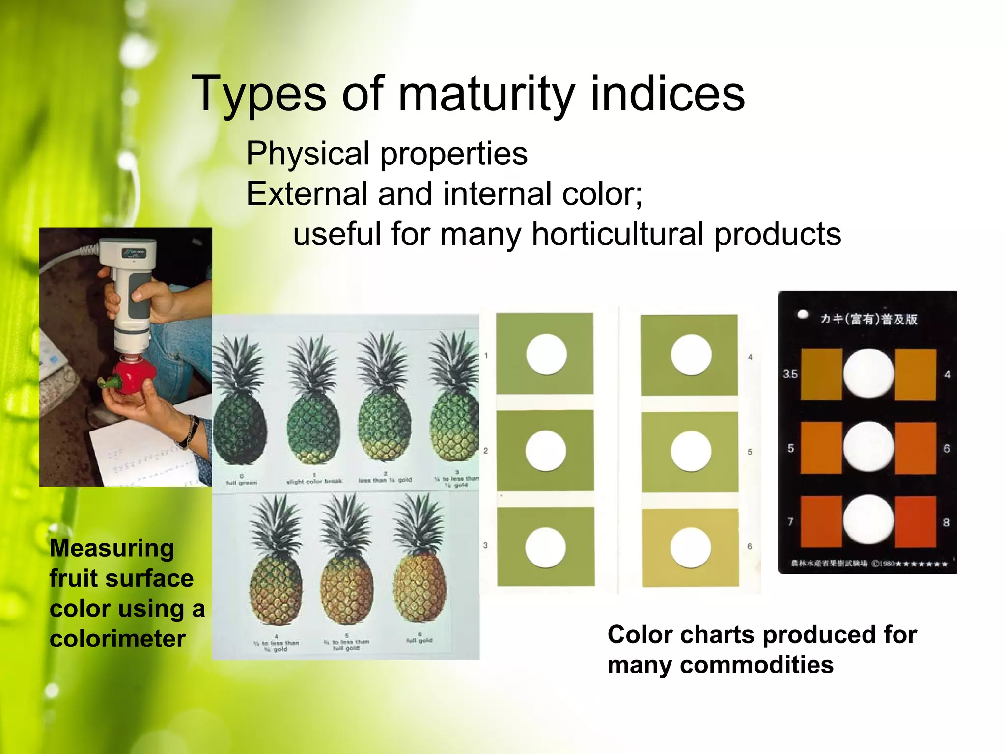 Lecture 3: Fruits and Vegetables Harvesting | PPT