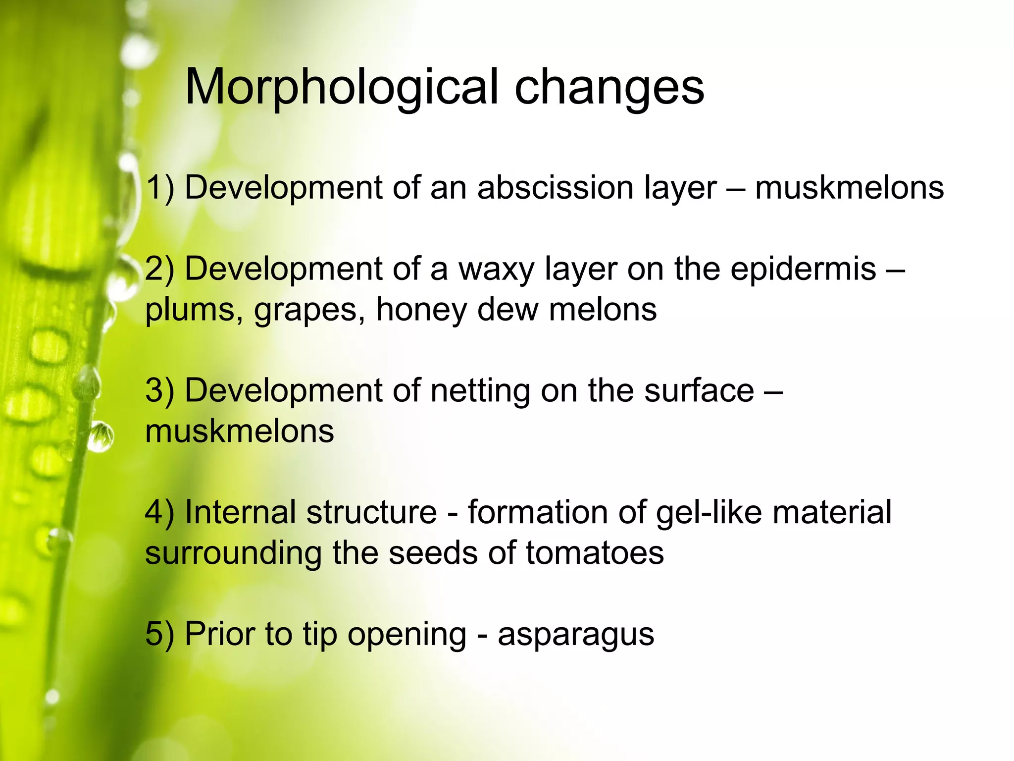 Lecture 3: Fruits and Vegetables Harvesting | PPT
