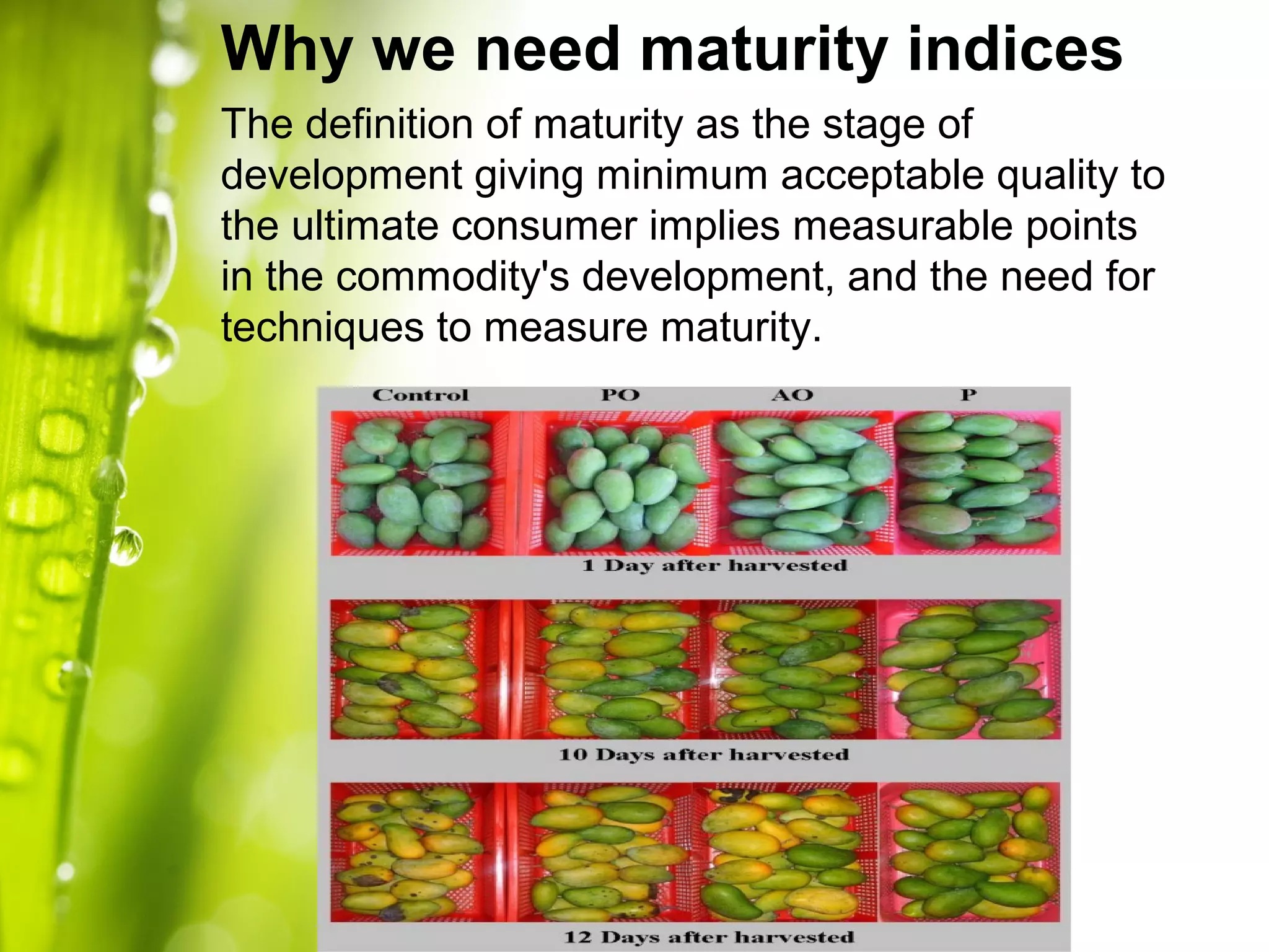 Lecture 3: Fruits and Vegetables Harvesting | PPT