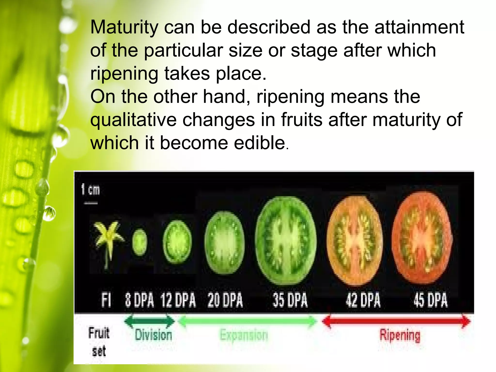 Lecture 3: Fruits and Vegetables Harvesting | PPT