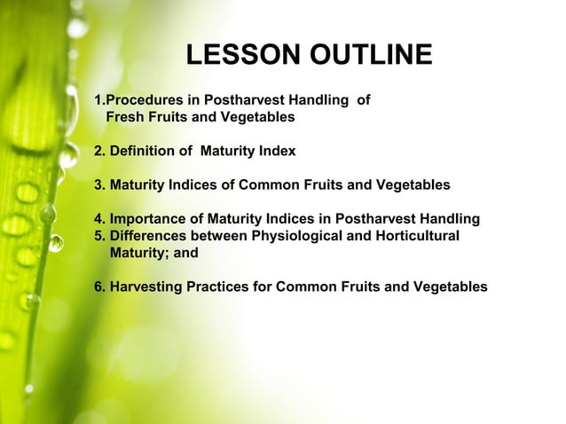 Lecture 3: Fruits and Vegetables Harvesting | PPT | Agriculture ...