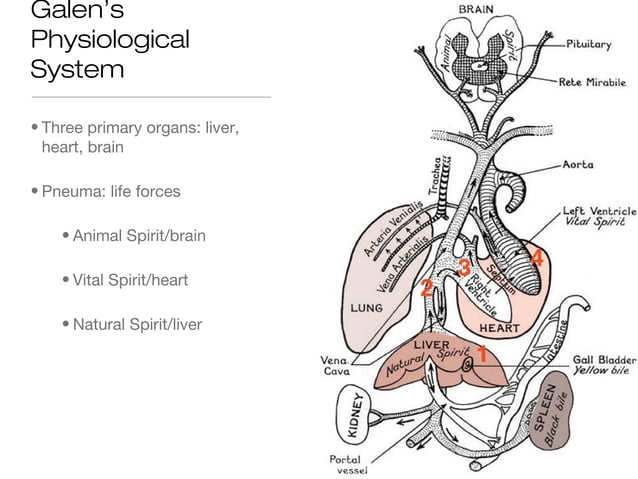 Lecture 3: Galenic Medicine | PPT