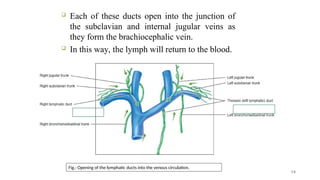 Lecture 3- General immunology Immunity .ppt