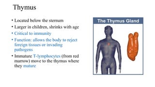 Lecture 3- General immunology Immunity .ppt