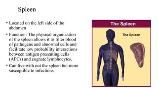 Lecture 3- General immunology Immunity .ppt