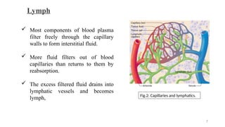 Lecture 3- General immunology Immunity .ppt