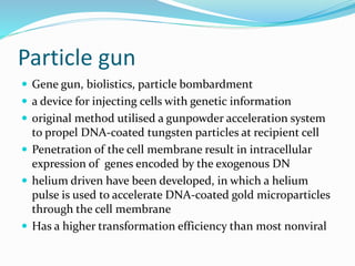 lecture 3 - gene transfer.pptx