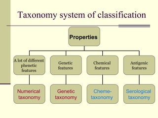 Bohomolets Microbiology Lecture #3 | PPT
