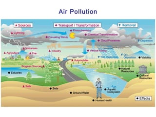 Lecture 3 human impact | PPT