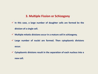 Lecture No 3--Life within single cell.pdf