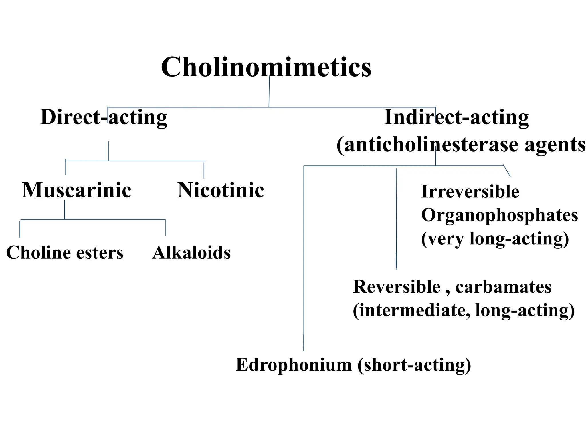 Lecture 3 - M-Cholinomimetics. Anticholinesterase Drugs.ppt