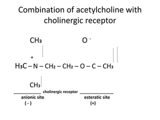 Lecture 3 - M-Cholinomimetics. Anticholinesterase Drugs.ppt