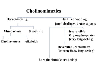 Lecture 3 - M-Cholinomimetics. Anticholinesterase Drugs.ppt