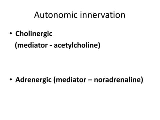 Lecture 3 - M-Cholinomimetics. Anticholinesterase Drugs.ppt