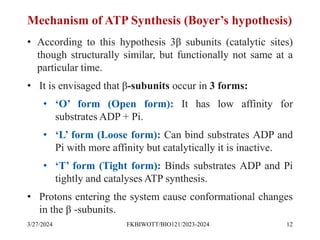 Lecture 3 - MBM 110 .pptx