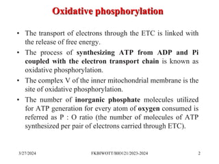 Lecture 3 - MBM 110 .pptx