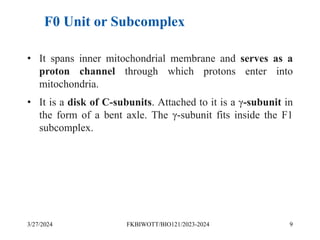Lecture 3 - MBM 110 .pptx