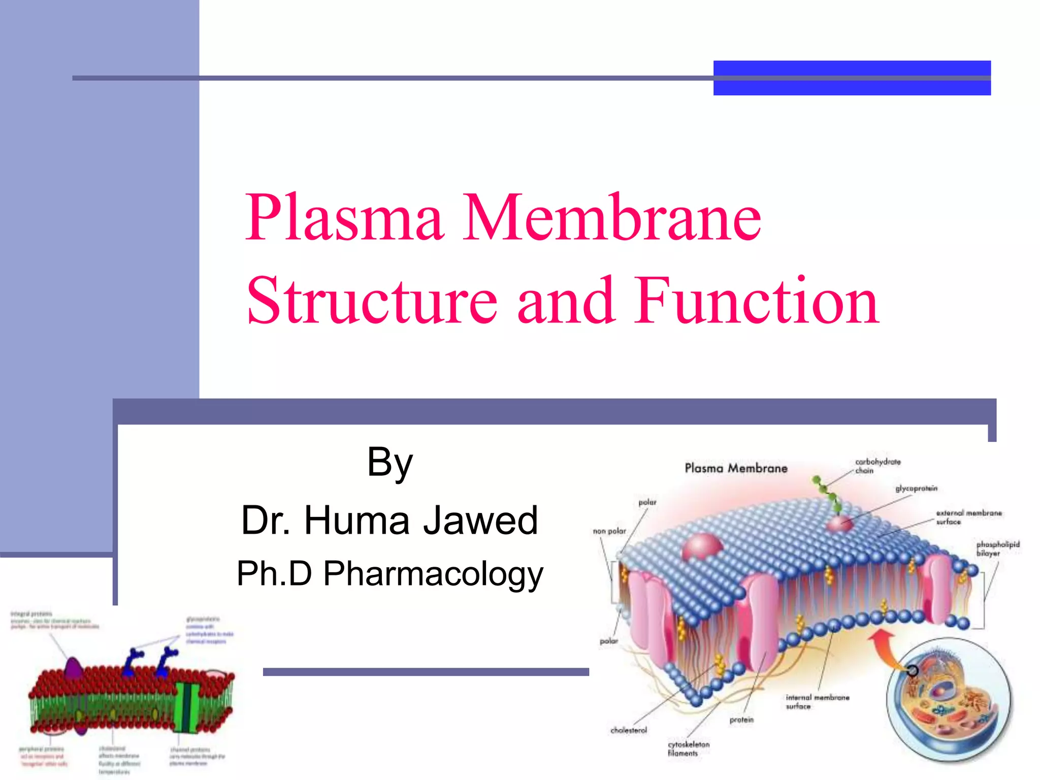 Cell Membrane Structure and Function.ppt