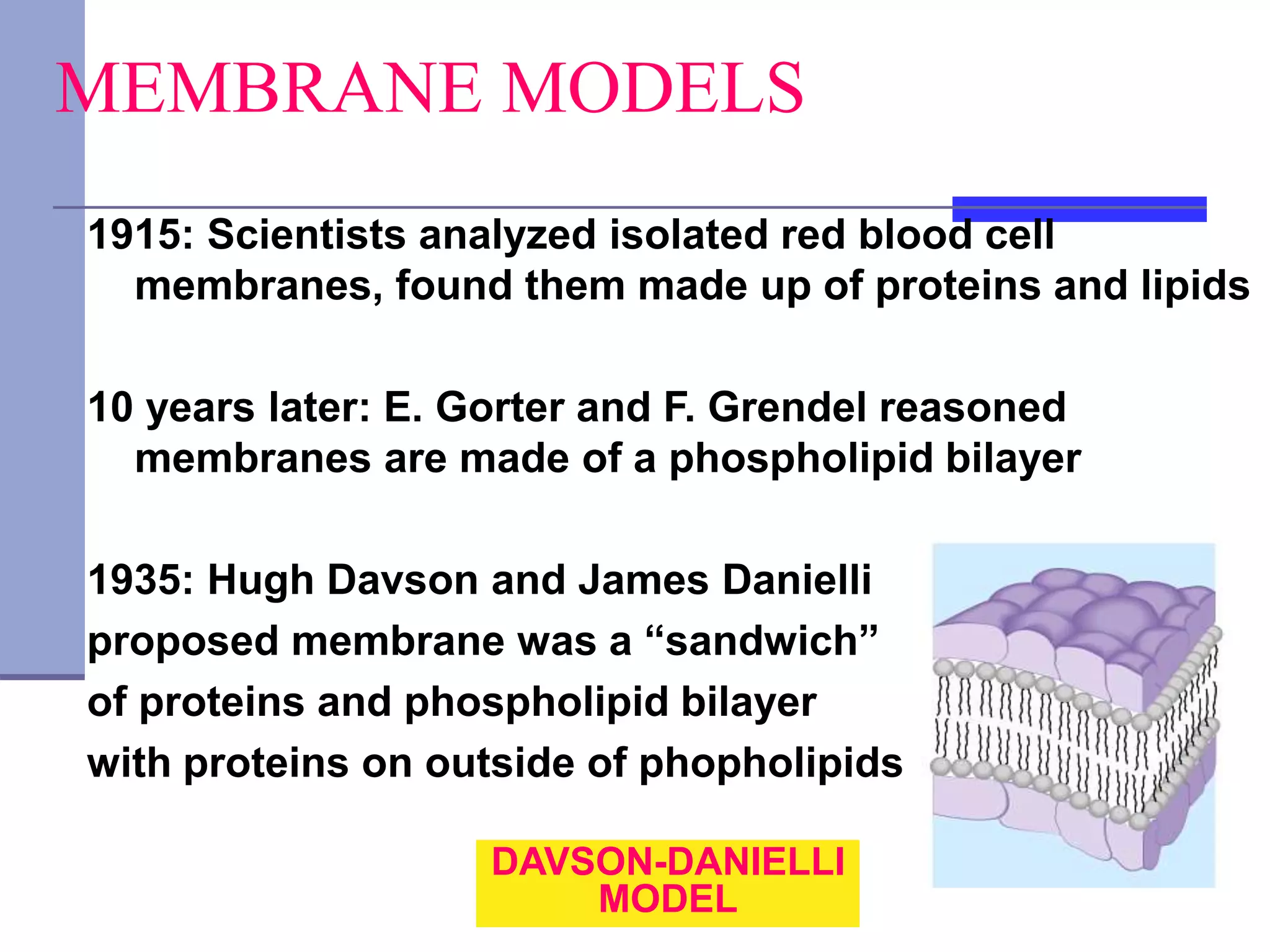 Cell Membrane Structure and Function.ppt
