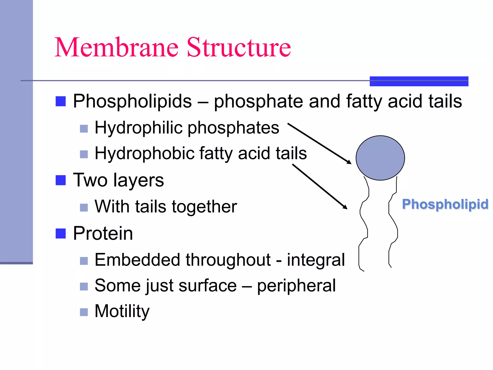 Cell Membrane Structure and Function.ppt