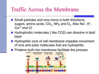 Cell Membrane Structure and Function.ppt
