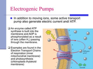 Cell Membrane Structure and Function.ppt