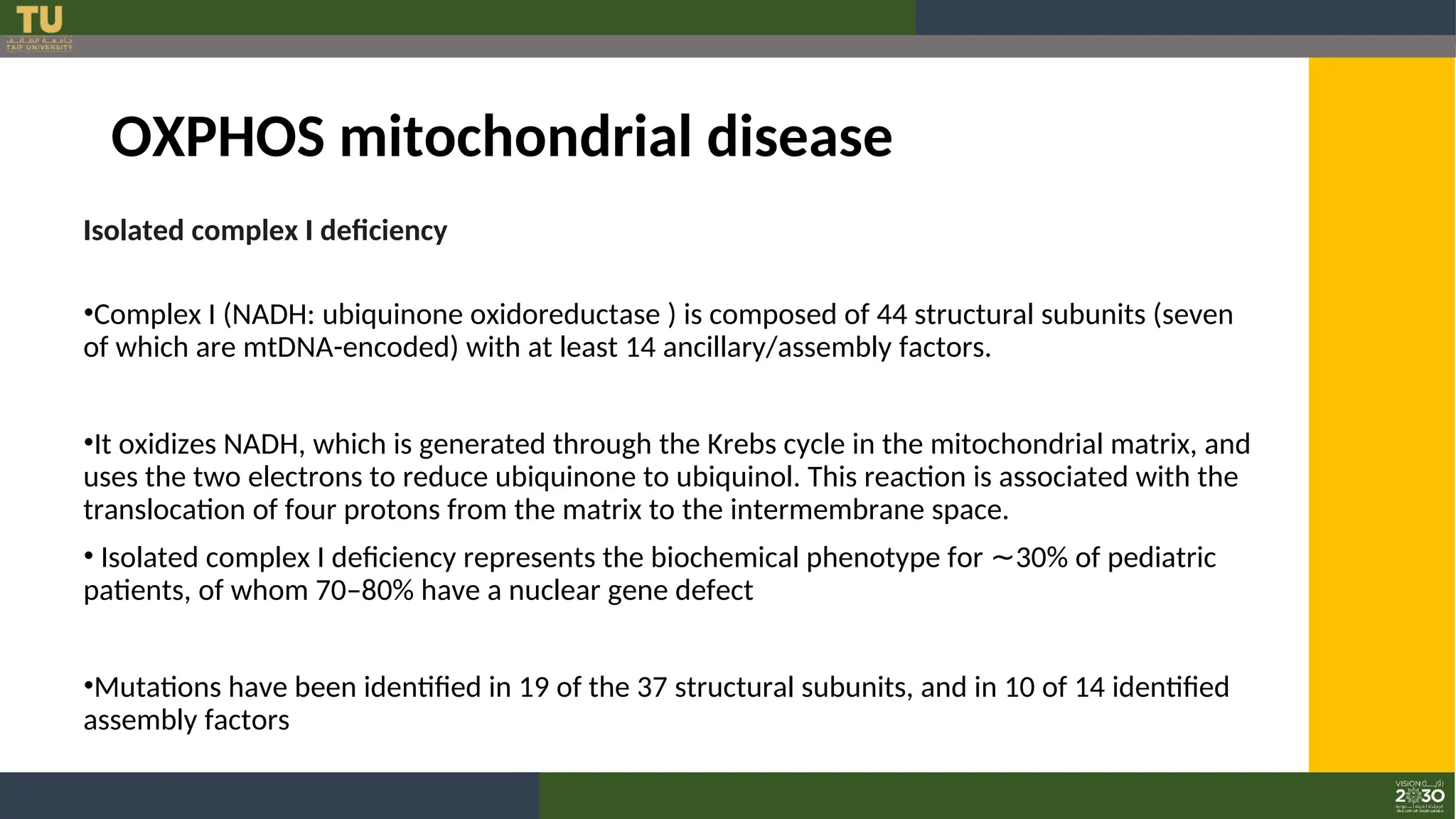 Lecture 3- Mitochondrial disease.ppt,,,,,,,,,, | PPT
